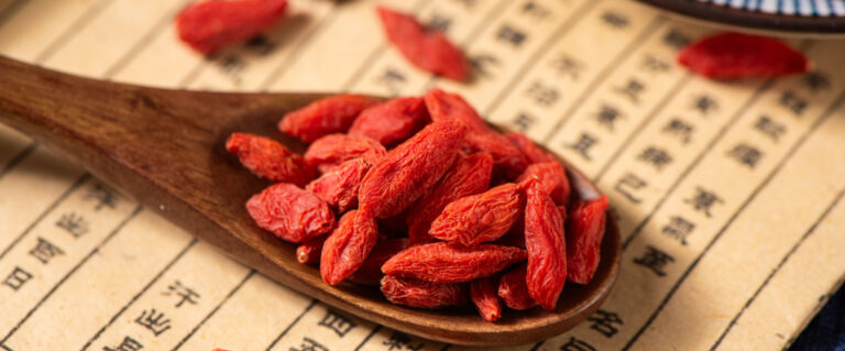 Bacche di goji: proprietà e benefici - Santagostino Magazine