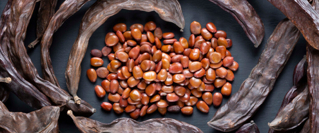 Carrube: proprietà e benefici per dimagrire - Santagostino Magazine