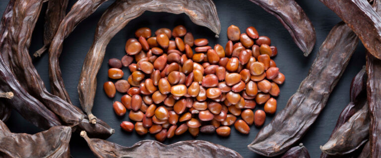 Carrube: proprietà e benefici per dimagrire - Santagostino Magazine