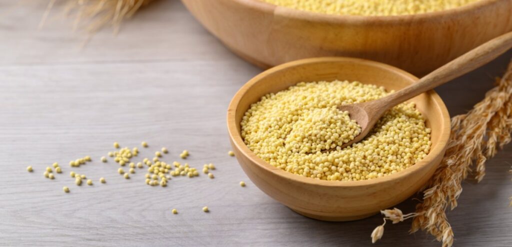 Miglio: il cereale per una dieta senza glutine - Santagostino Magazine