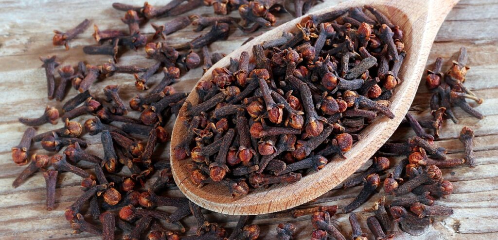 A cosa servono i chiodi di garofano: benefici, usi e proprietà ...