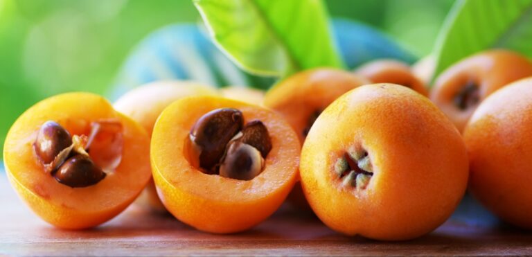 Nespole: proprietà, benefici, valori nutrizionali - Santagostino Magazine