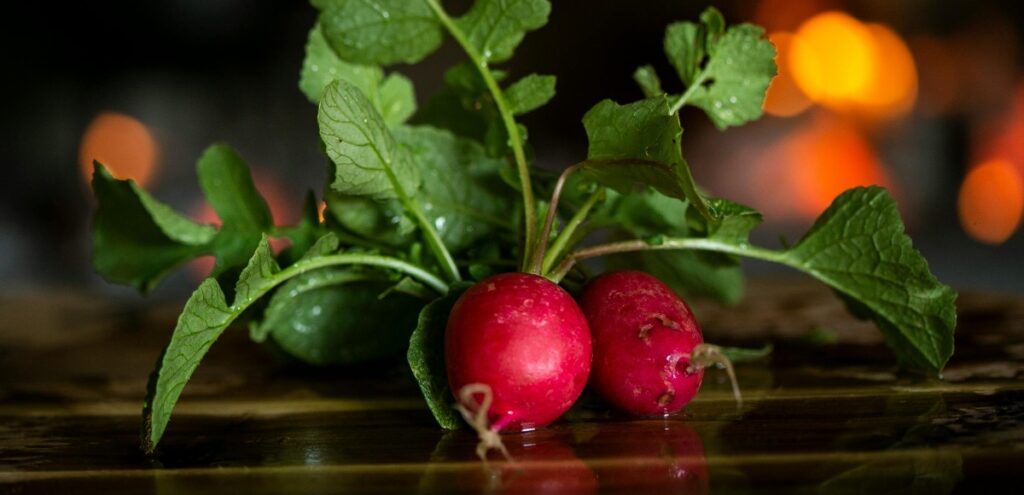 Ravanelli: proprietà, benefici e controindicazioni - Santagostino Magazine