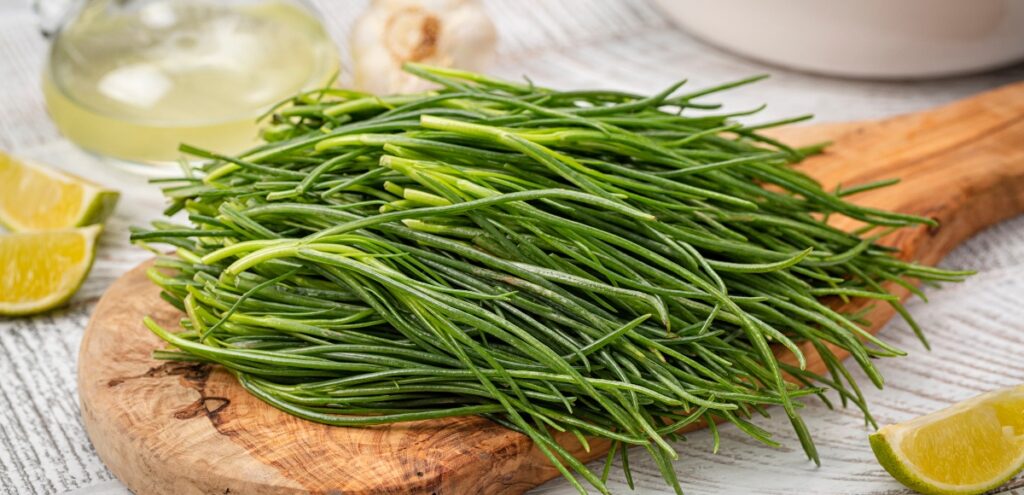 Agretti: cosa sono, proprietà e benefici - Santagostino Magazine
