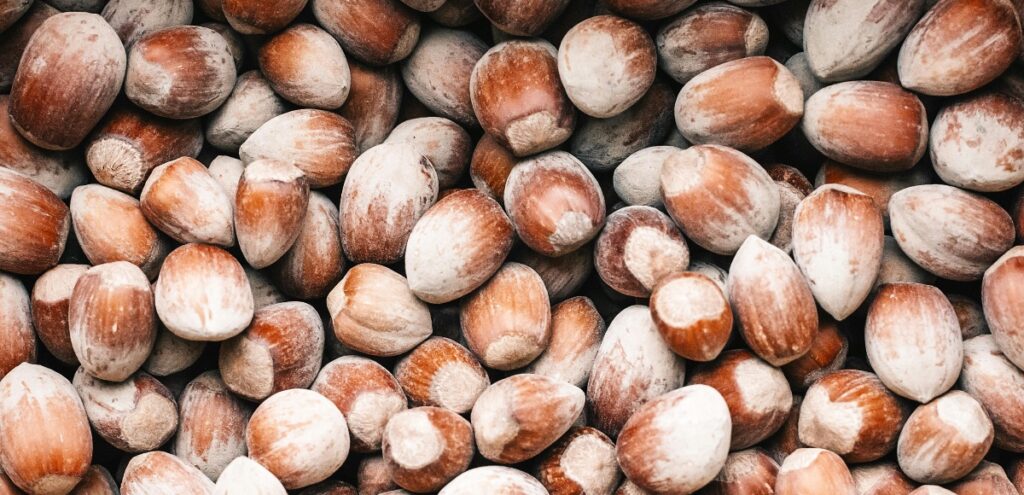 I benefici delle nocciole - Santagostino Magazine