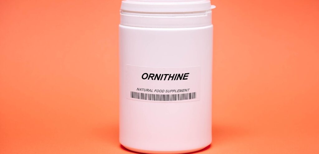 L'ornitina: cos'è e a cosa serve - Santagostino Magazine